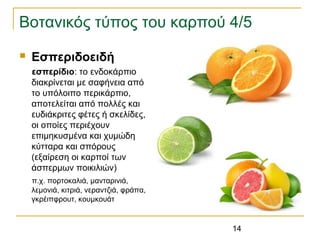 δενδροκομια | PPT