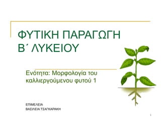 μορφολογία του καλλιεργούμενου φυτού | PPT