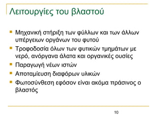 μορφολογία του καλλιεργούμενου φυτού | PPT