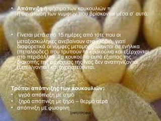 σηροτροφία η εκτροφή του μεταξοσκώληκα | PPT