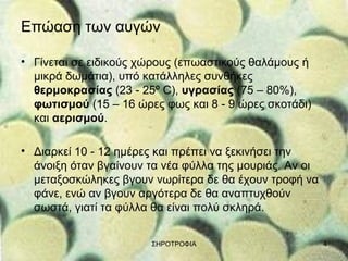 σηροτροφία η εκτροφή του μεταξοσκώληκα | PPT