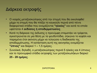 σηροτροφία η εκτροφή του μεταξοσκώληκα | PPT