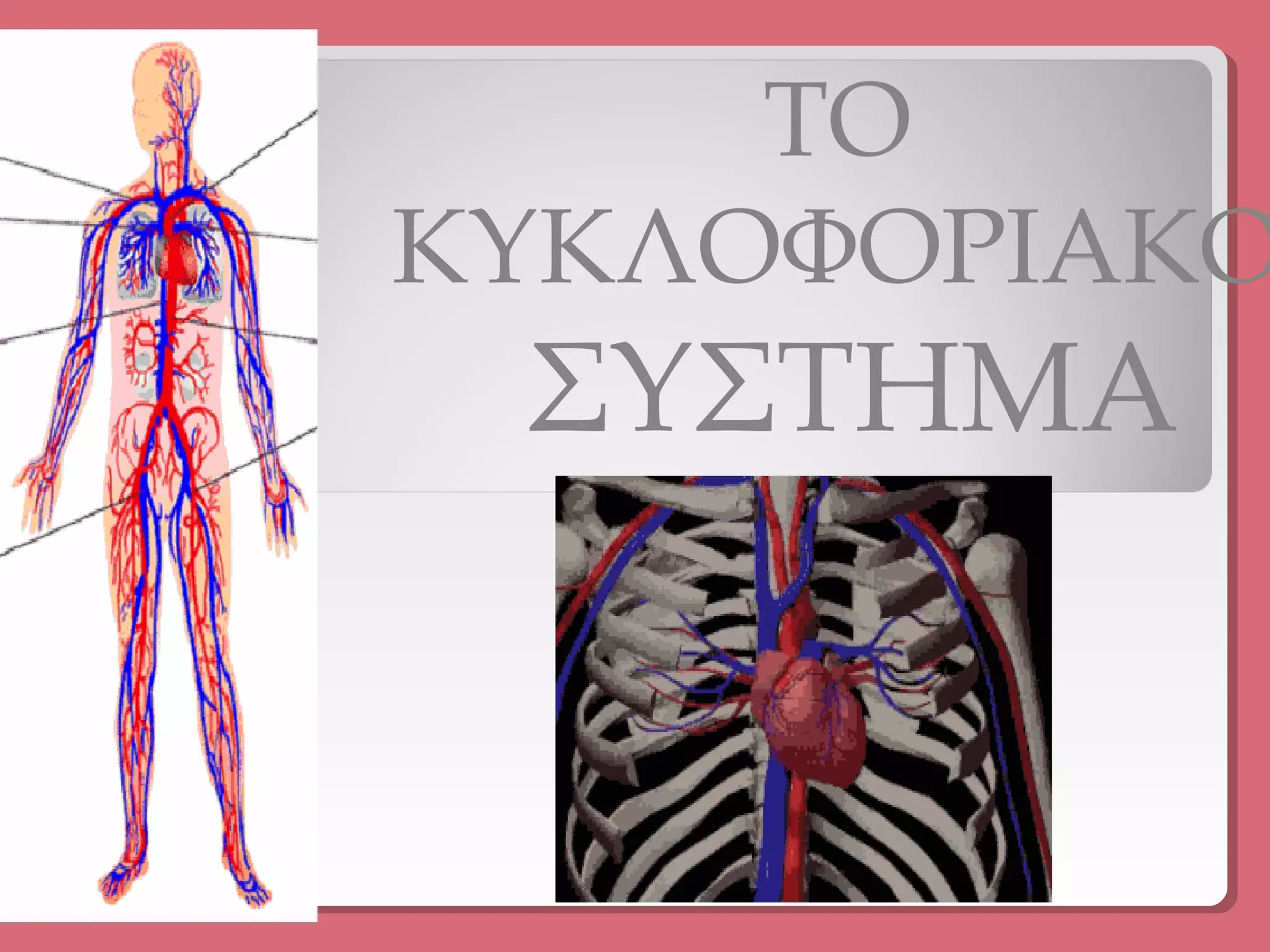 το κυκλοφορικο συστημα.(εργασία μαθητών Α5) | PPT