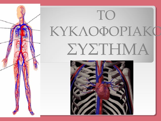 το κυκλοφορικο συστημα.(εργασία μαθητών Α5) | PPT