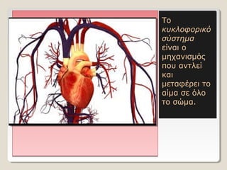 το κυκλοφορικο συστημα.(εργασία μαθητών Α5) | PPT