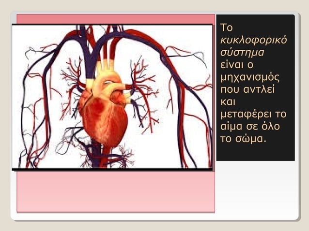 το κυκλοφορικο συστημα.(εργασία μαθητών Α5) | PPT