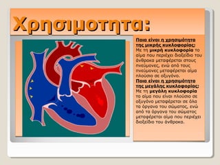 το κυκλοφορικο συστημα.(εργασία μαθητών Α5) | PPT