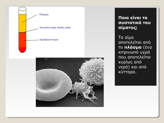 το κυκλοφορικο συστημα.(εργασία μαθητών Α5) | PPT