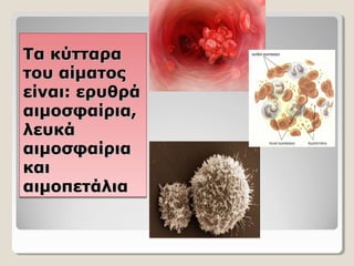 το κυκλοφορικο συστημα.(εργασία μαθητών Α5) | PPT