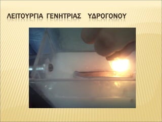 Παραγωγή Υδρογόνου | PPT