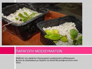 σχολικοι κηποι (ΕΕΕΕΚ ΓΙΑΝΝΙΤΣΩΝ) | PPT