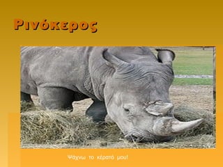 αγρια ζωα της ζουγκλας! | PPT
