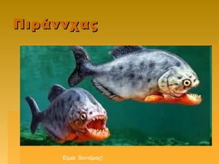 αγρια ζωα της ζουγκλας! | PPT