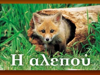 τα αγρια ζωα | PPT