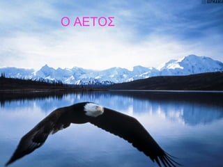 τα αγρια ζωα | PPT