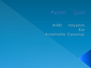 αγρια ζωα | PPTX