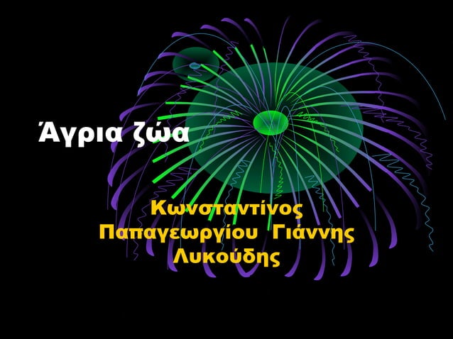 αγρια ζωα! | PPT