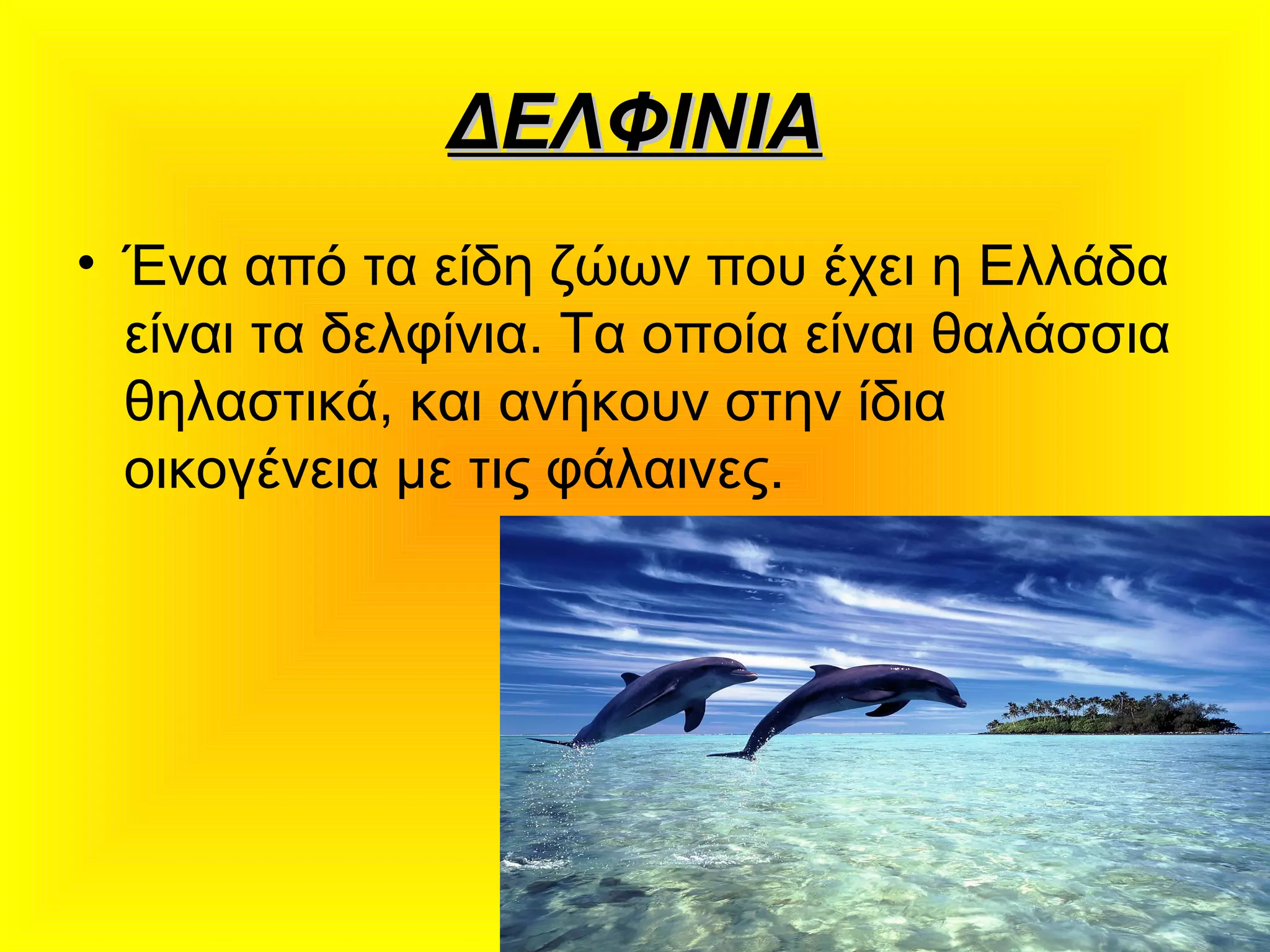 Τα ζώα της Ελλάδας.. | PPT