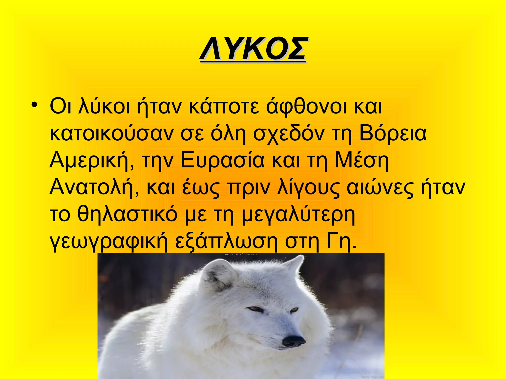 Τα ζώα της Ελλάδας.. | PPT