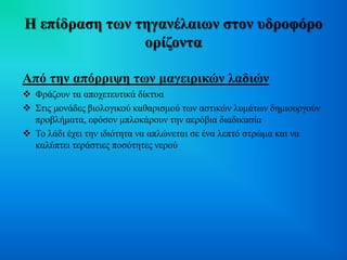 βιοντιζελ παρουσιαση | PDF