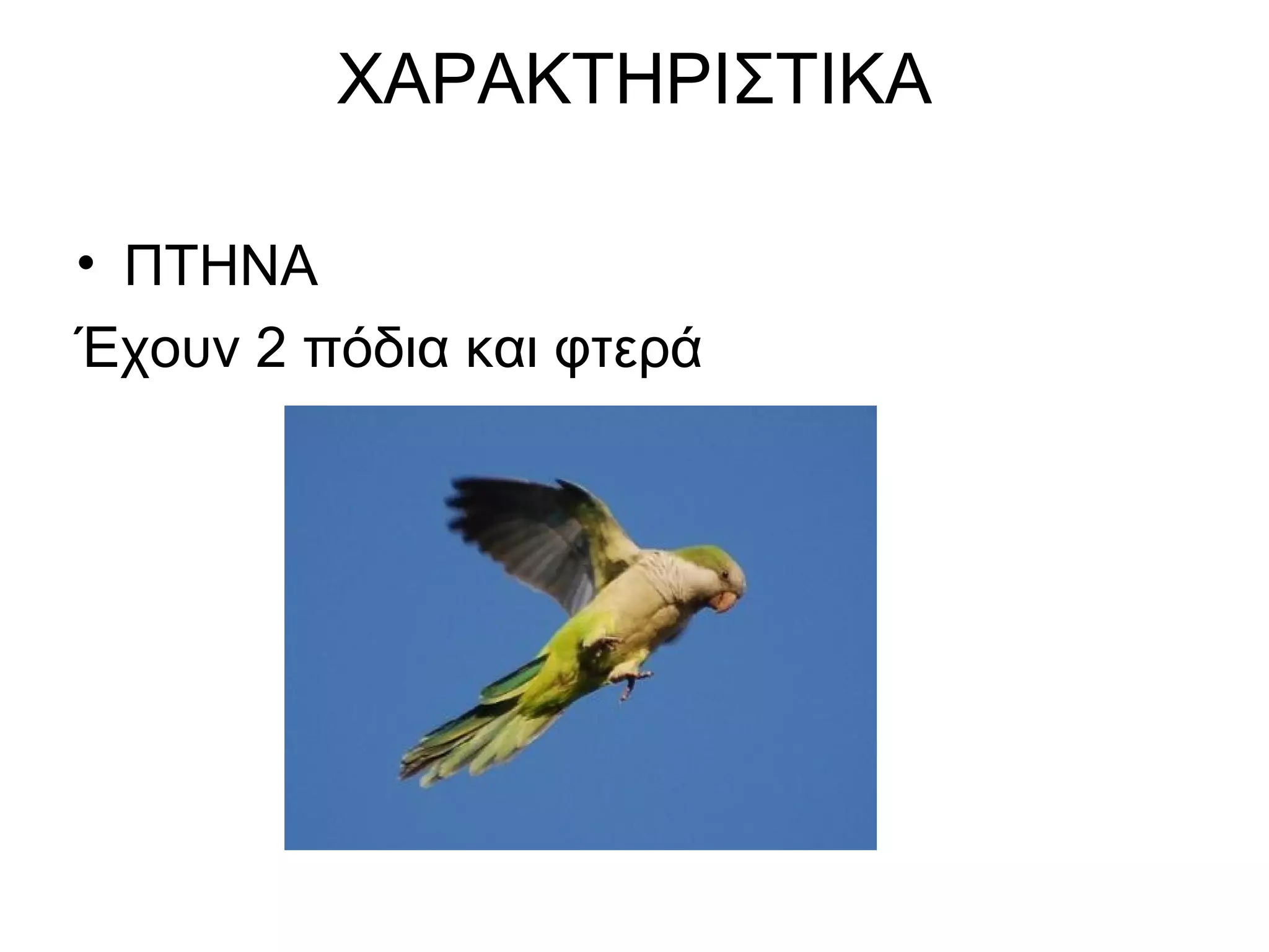 μελετη περιβαλλοντοσ ζωα | PPT