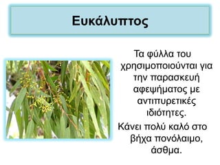 Τα βότανα του πηλίου | PPT