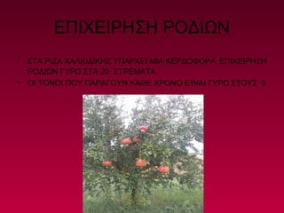 επαγγέλματα στα ζερβοχώρια | PPT