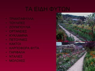 επαγγέλματα στα ζερβοχώρια | PPT