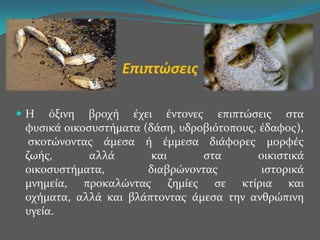 Όξινη βροχή‏ | PPT