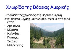 βόρεια νότια αμερική | PPT