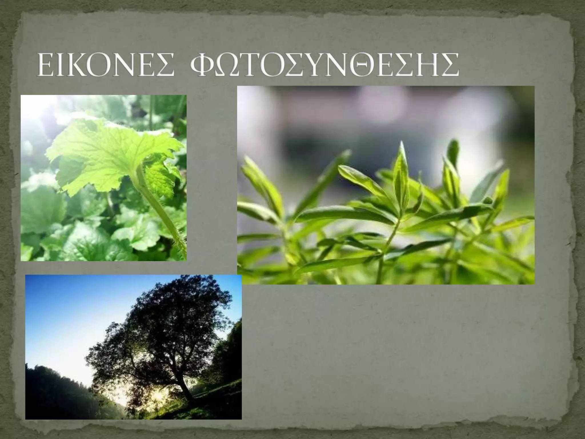 γιωργος γκολοης γιωργος σερετης | PPTX
