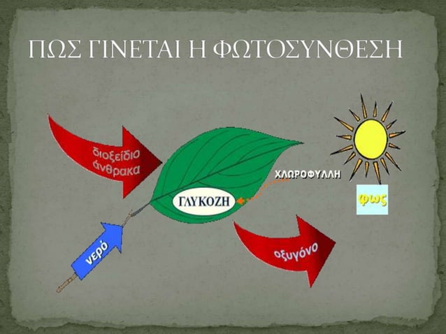 γιωργος γκολοης γιωργος σερετης | PPTX