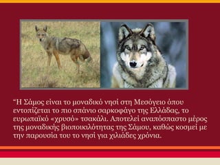 τσακαλι | PDF