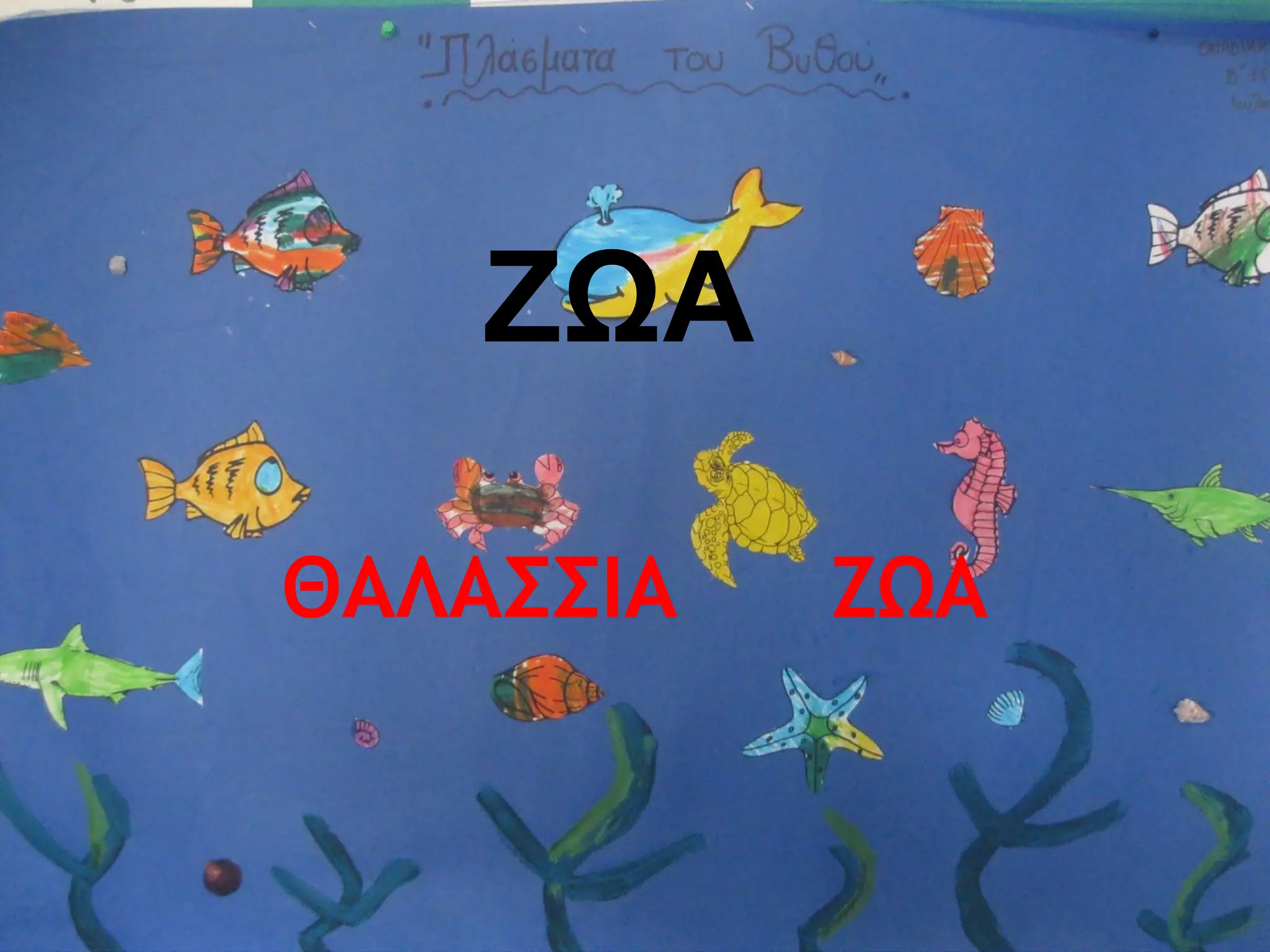 ΖΩΑ ΤΗΣ ΘΑΛΑΣΣΑΣ | PDF