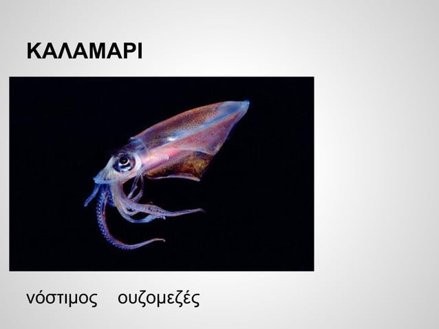 ΖΩΑ ΤΗΣ ΘΑΛΑΣΣΑΣ | PDF