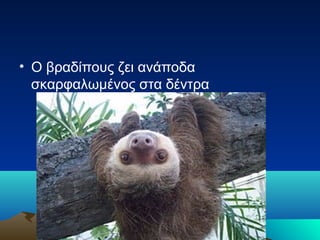 αγρια ζώα | PPT