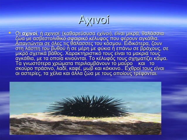 θαλασια ζωη | PPT