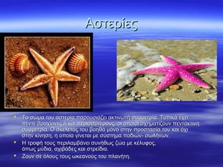 θαλασια ζωη | PPT