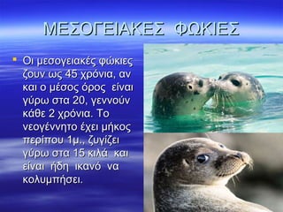 θαλασια ζωη | PPT