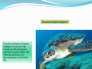 ζώα υπο εξαφάνιση όλου του κόσμου | PPT