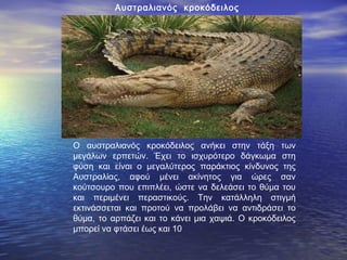 τα πιο επικίνδυνα ζώα | PPT