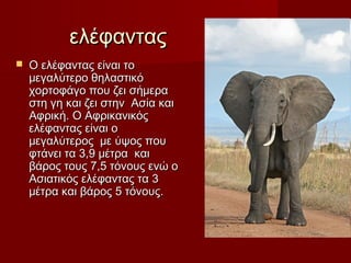 αγρια ζωα | PPT