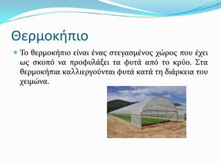 το φαινόμενο του θερμοκηπίου | PPT
