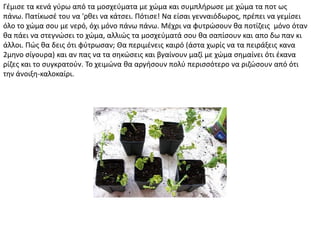 πολλαπλασιασμος με μοσχευματα | PPTX