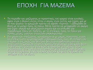 φρεσκο κρεμμυδι | PPT