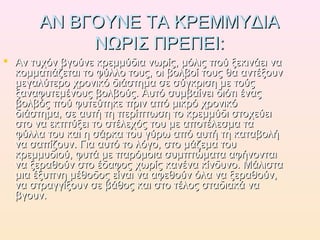 φρεσκο κρεμμυδι | PPT