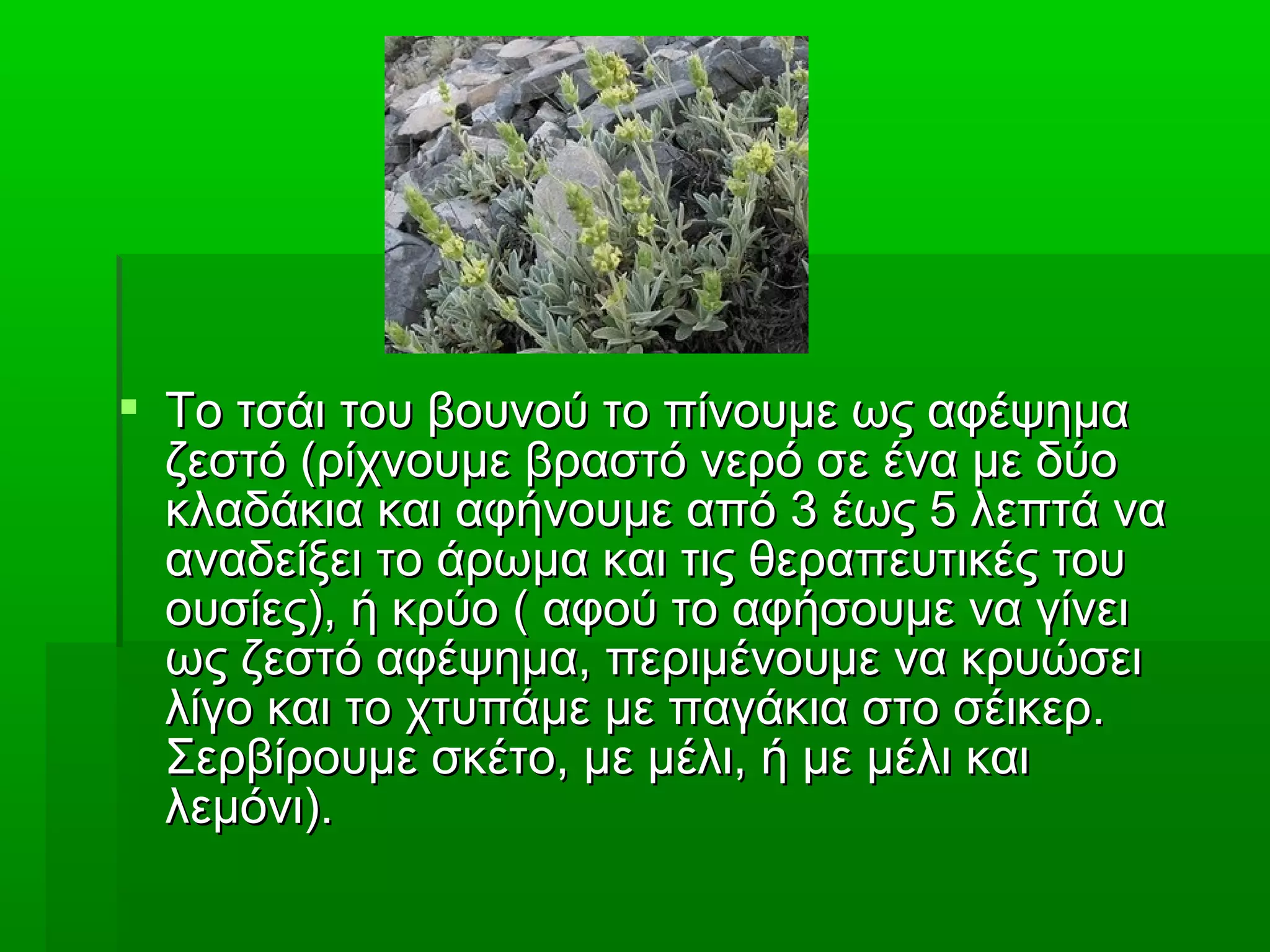 Το τσάι του βουνού | PPT