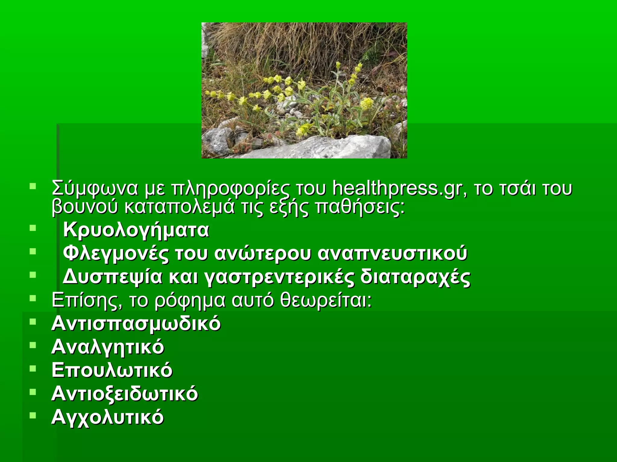 Το τσάι του βουνού | PPT