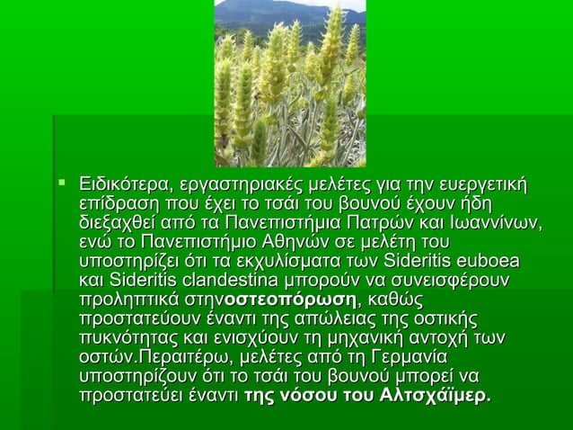 Το τσάι του βουνού | PPT