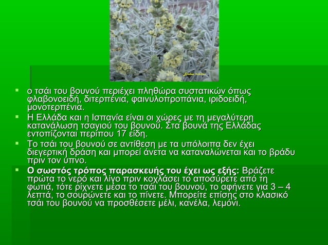 Το τσάι του βουνού | PPT | Free Download